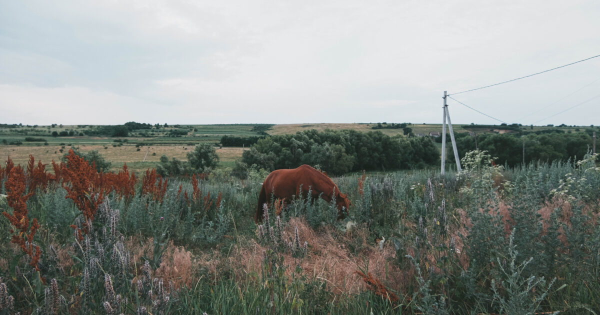 Digging more deeply: Climate investigations in EaP countries | n-ost